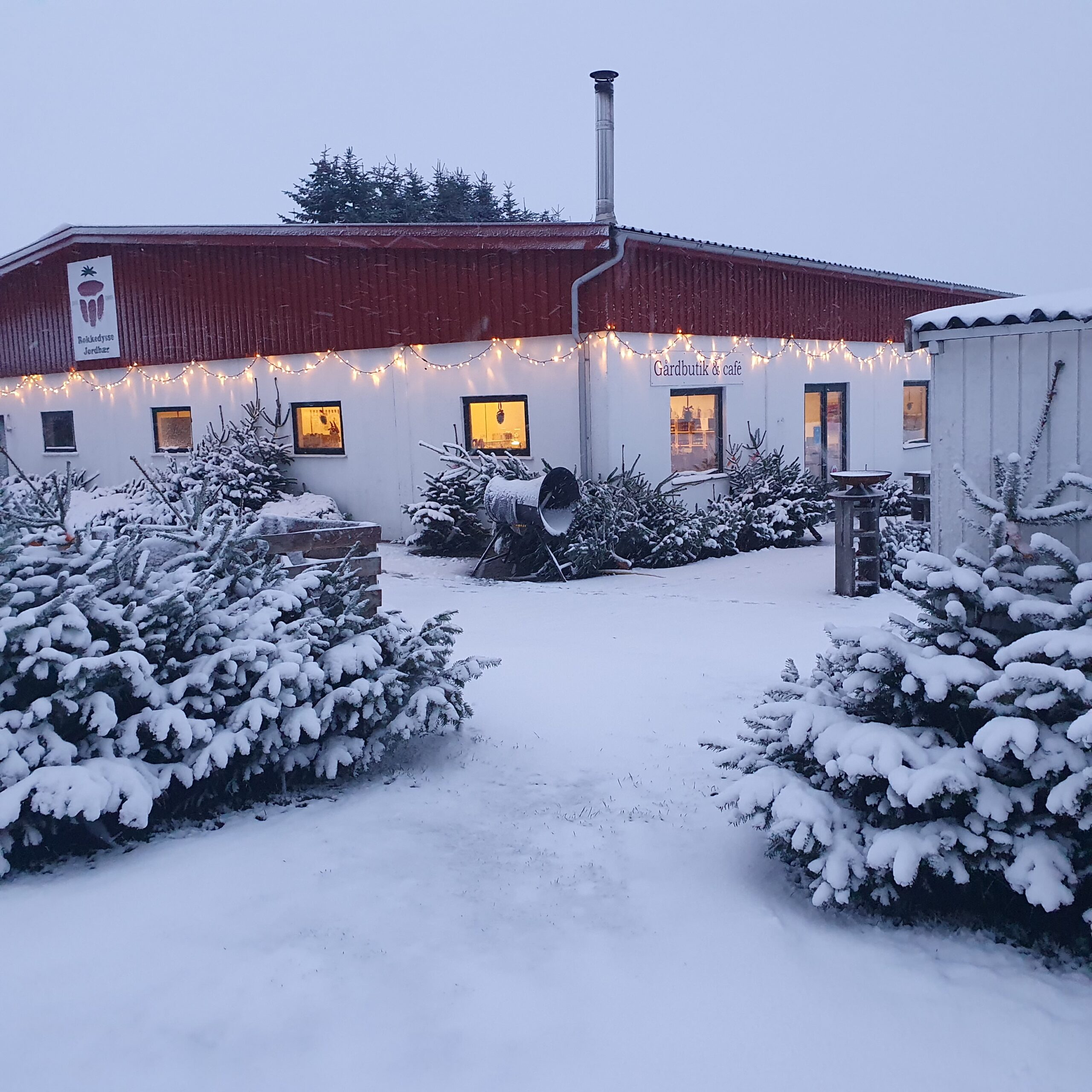 Rokkedyssegaard er klar til julehygge