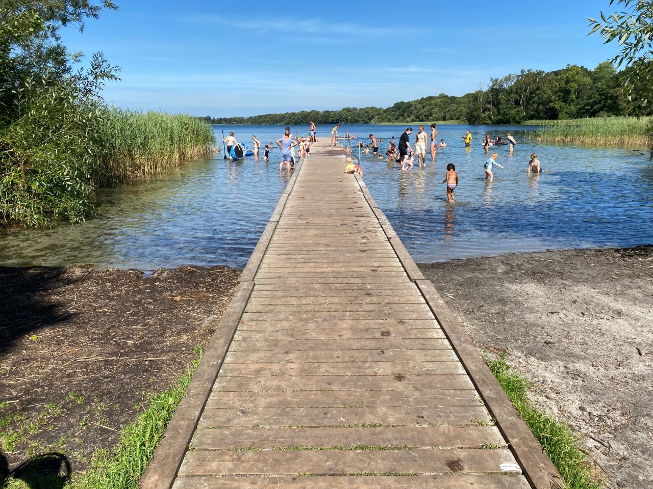Risiko for ”svømmekløe” ved badning i Buresø