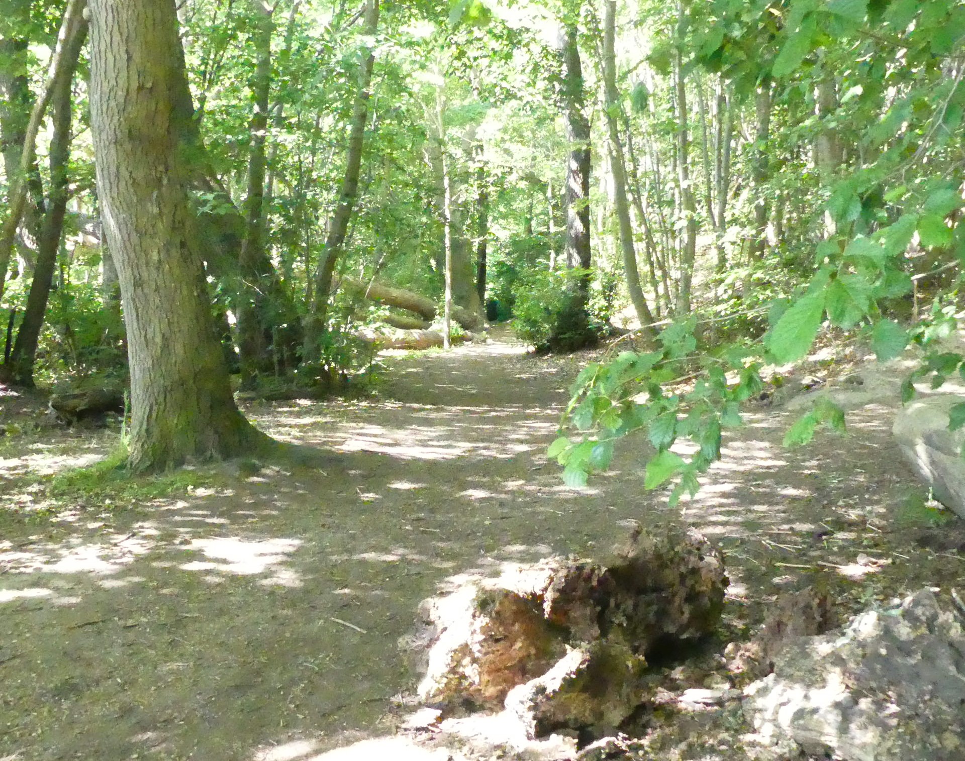 Naturparkvenner inviterer til tur rundt om Farum Sø