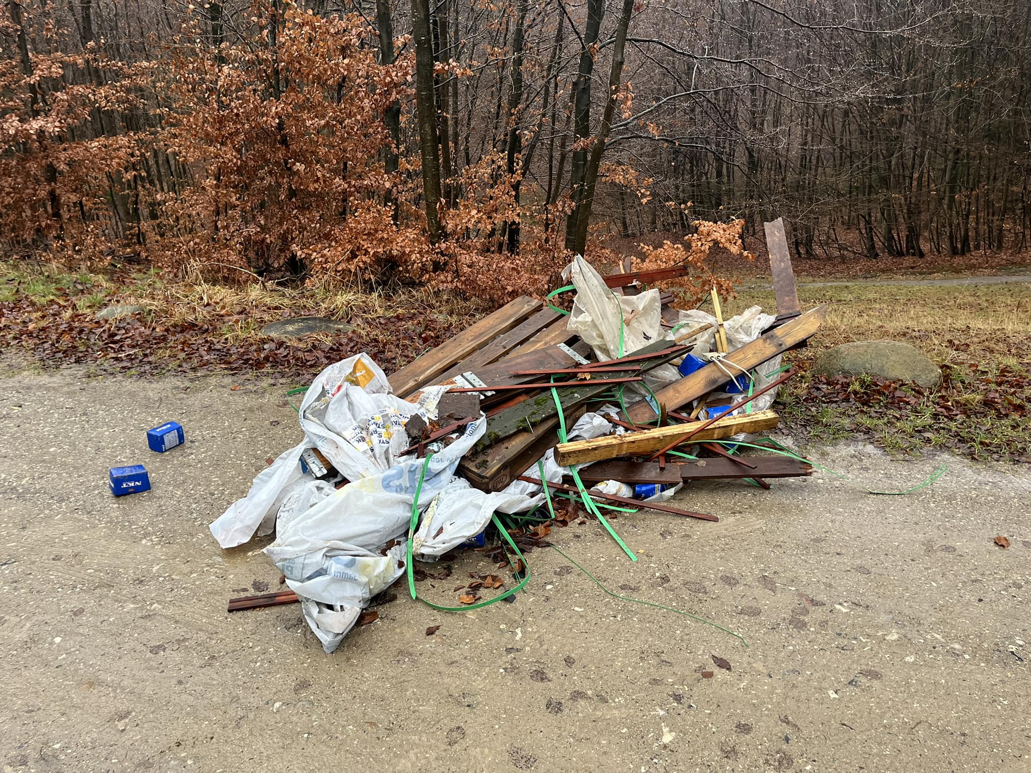 Alexander afslørede skovsvin