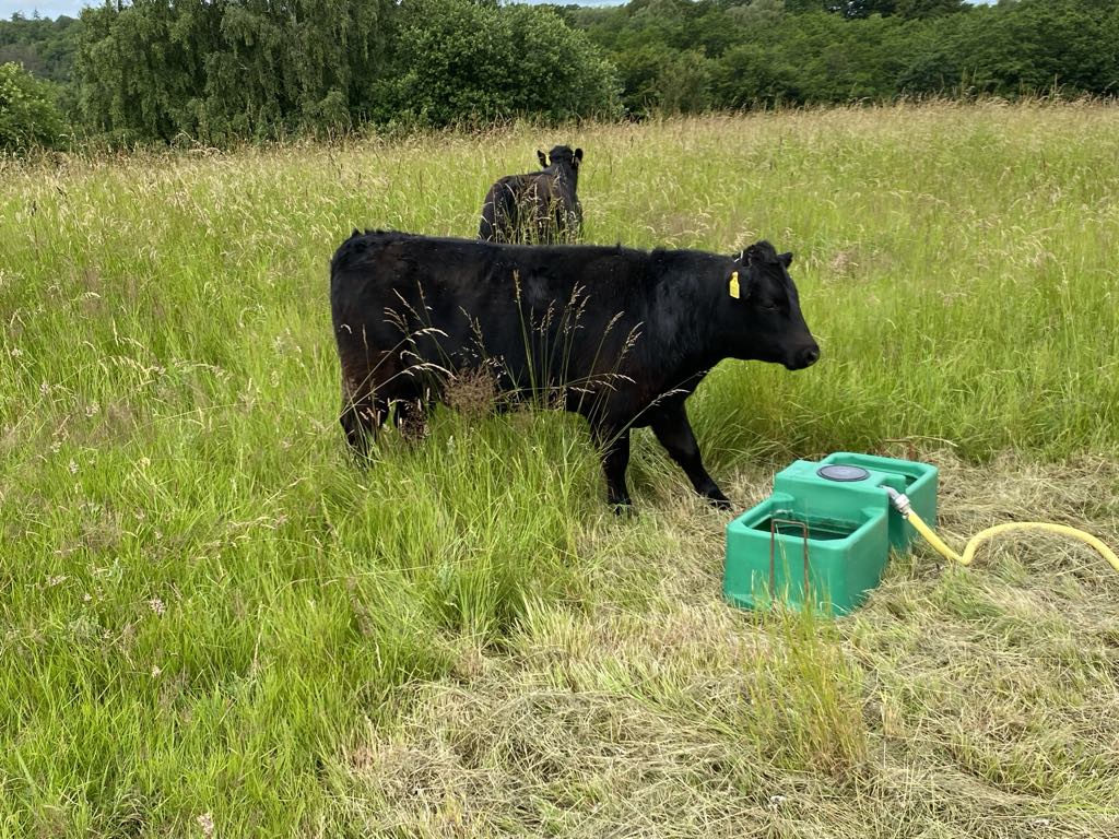 Jesper Bach - Biltrafik og hjulspor en interessant form for biodiversitet